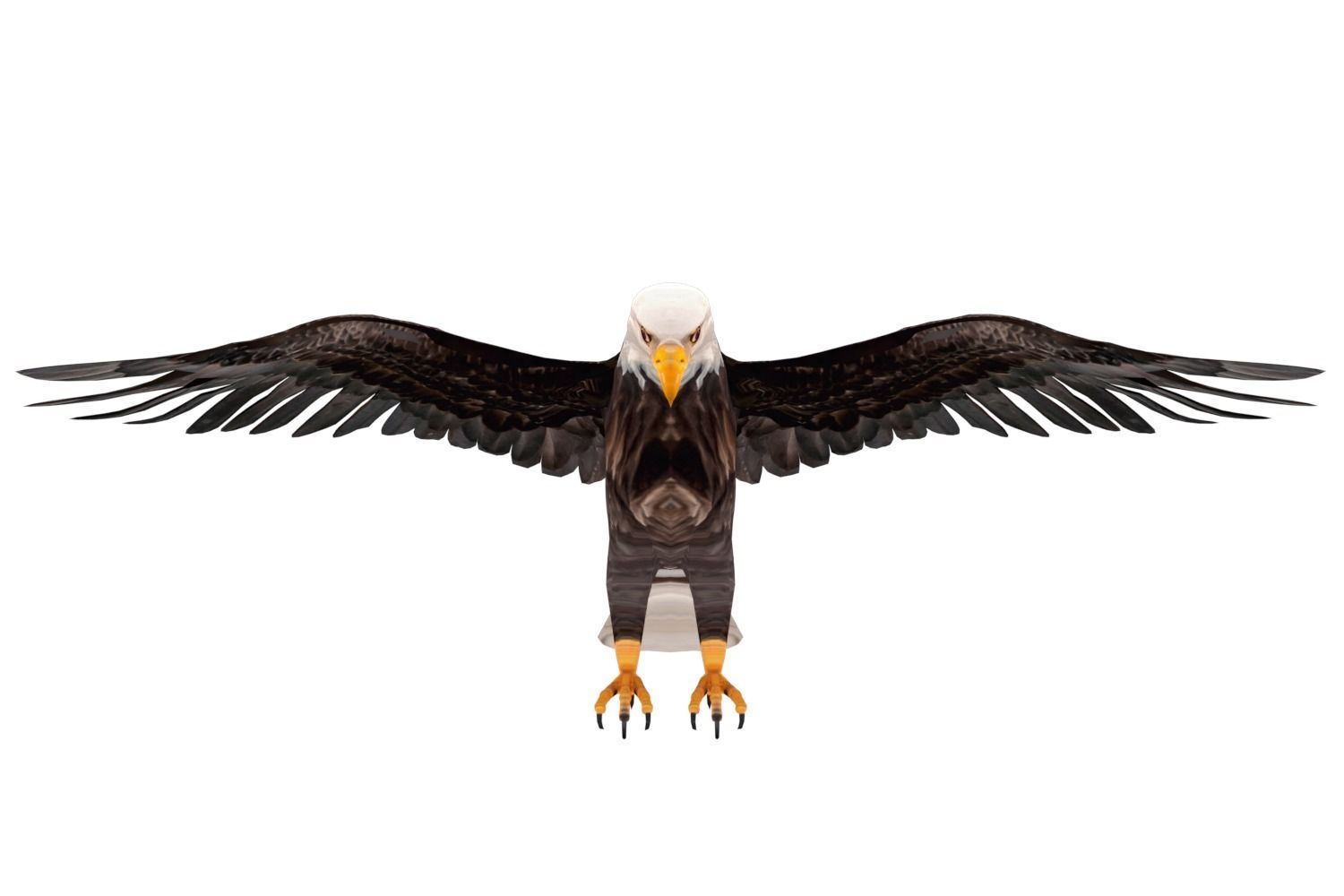 3D model Realistic Bald Eagle 3D Model VR / AR / low-poly | CGTrader