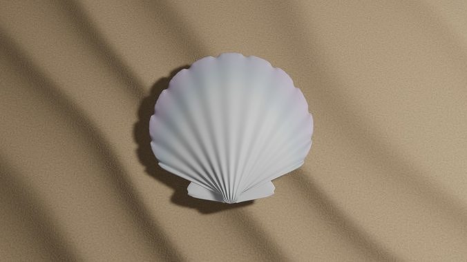 Shell seashell free 3D model | CGTrader
