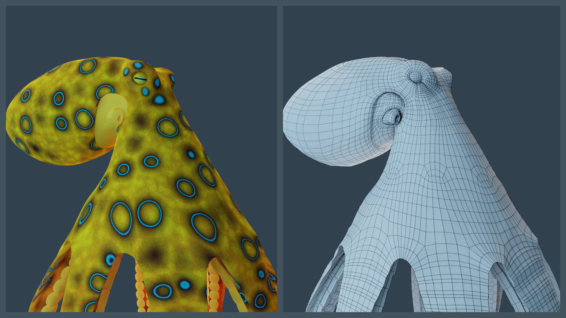 3D model Animated Blue-Ringed Octopus VR / AR / low-poly | CGTrader