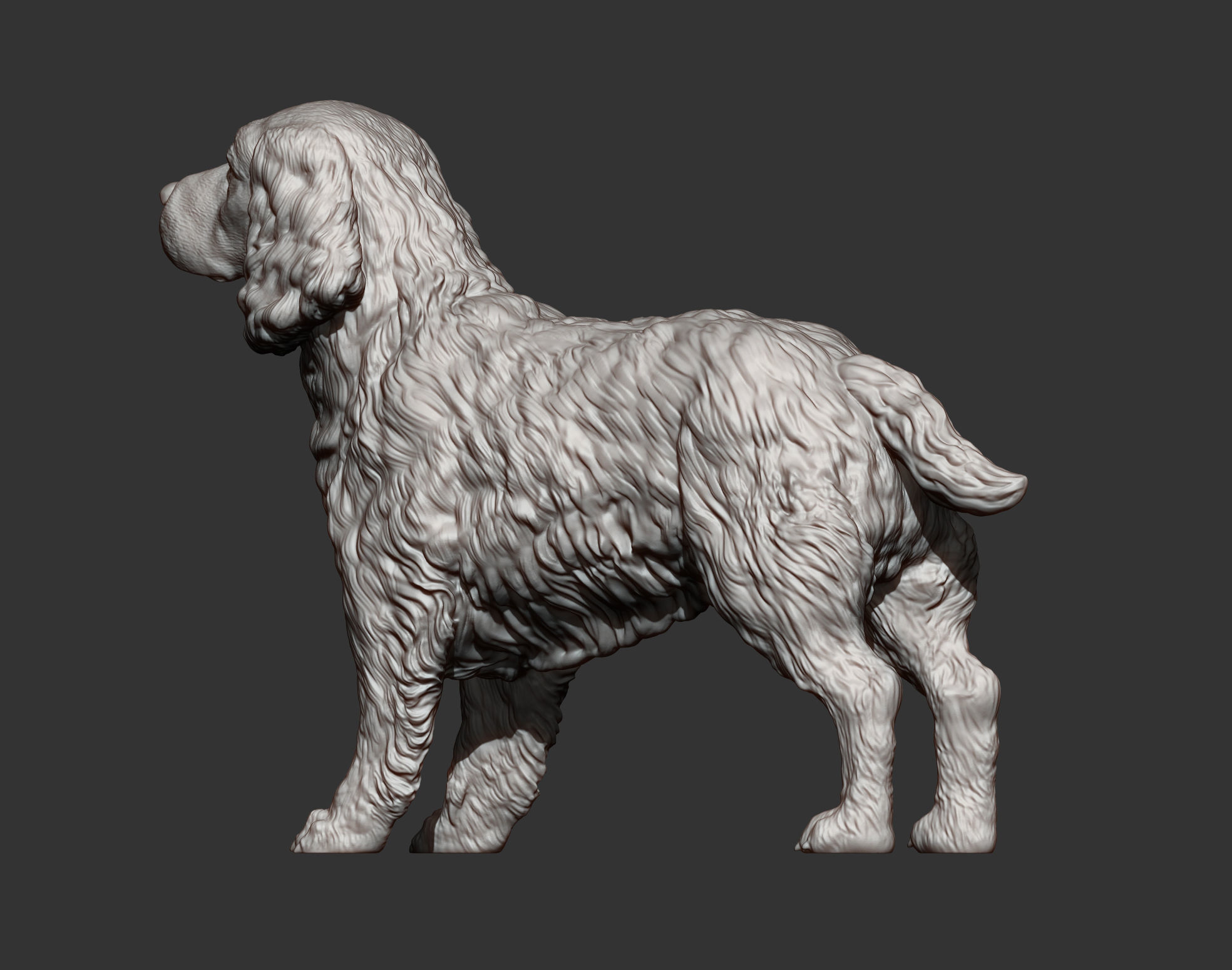English Springer spaniel 3D model 3D printable | CGTrader