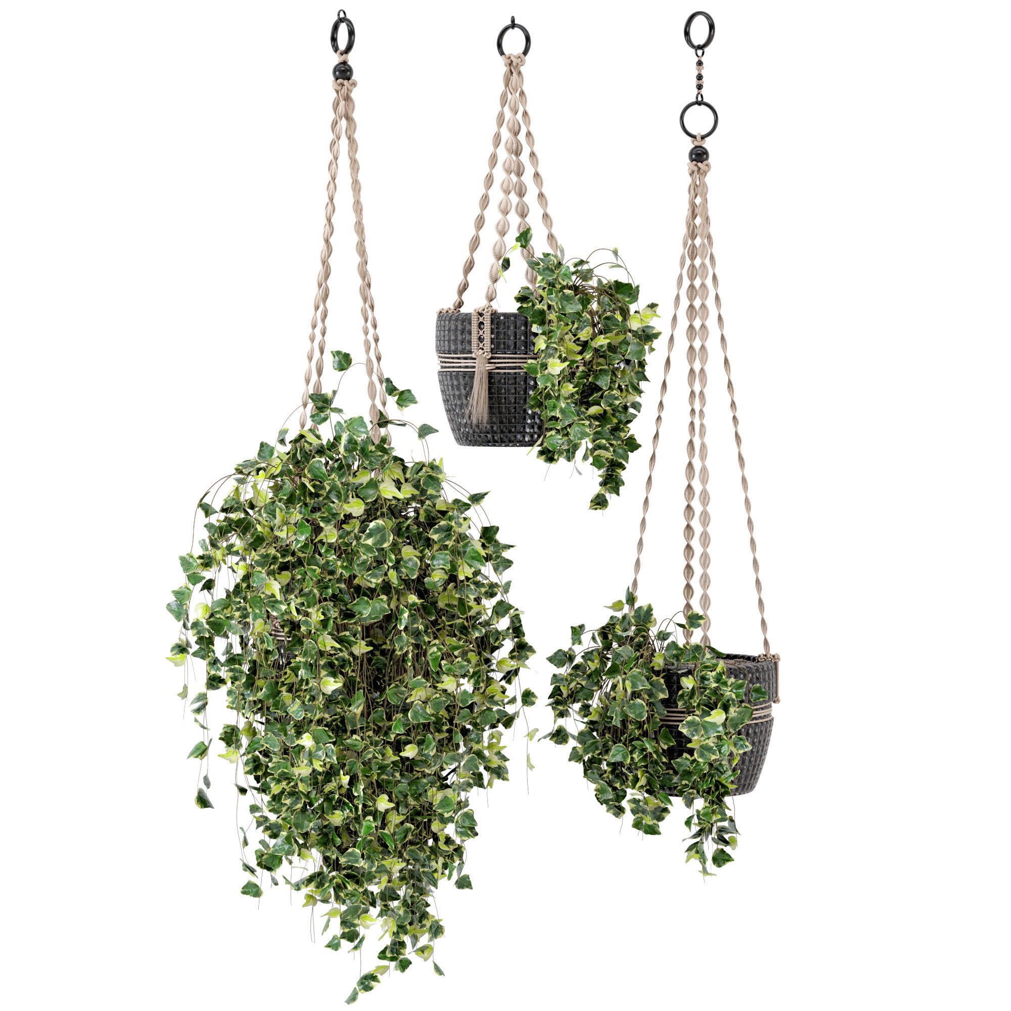 Indoor Plants in rusty Concrete Pot with Macrame - Set 17 3D model | CGTrader