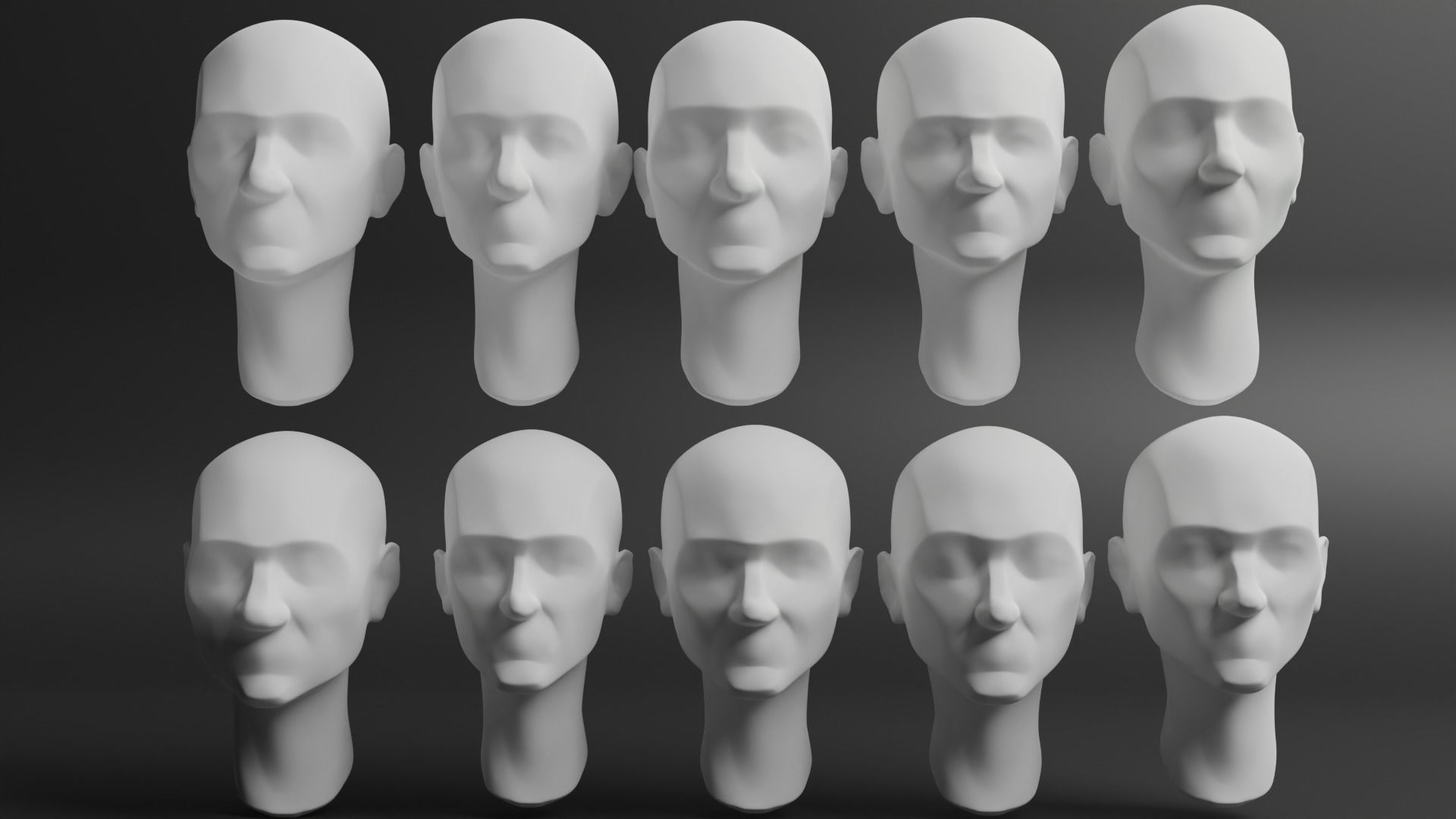 Female Head Ecorche 3D model | CGTrader