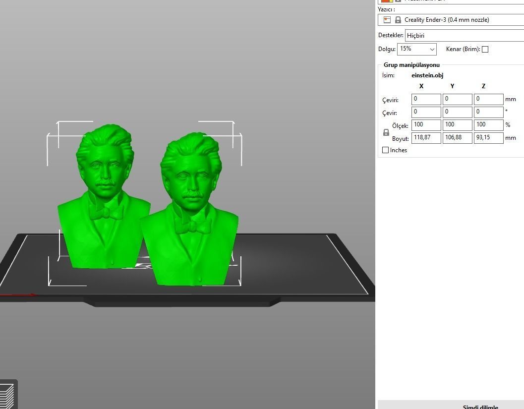 Albert Einstein 3D model 3D printable | CGTrader