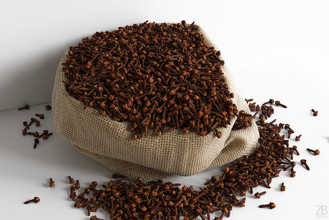 Clove 001 3D model | CGTrader