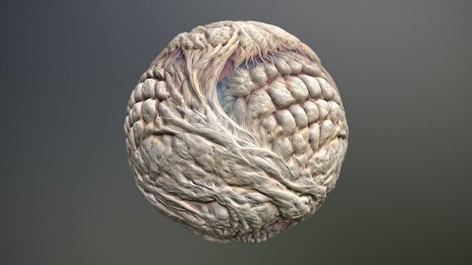 Material Skin Monster 29 Seamless PBR Texture Texture | CGTrader