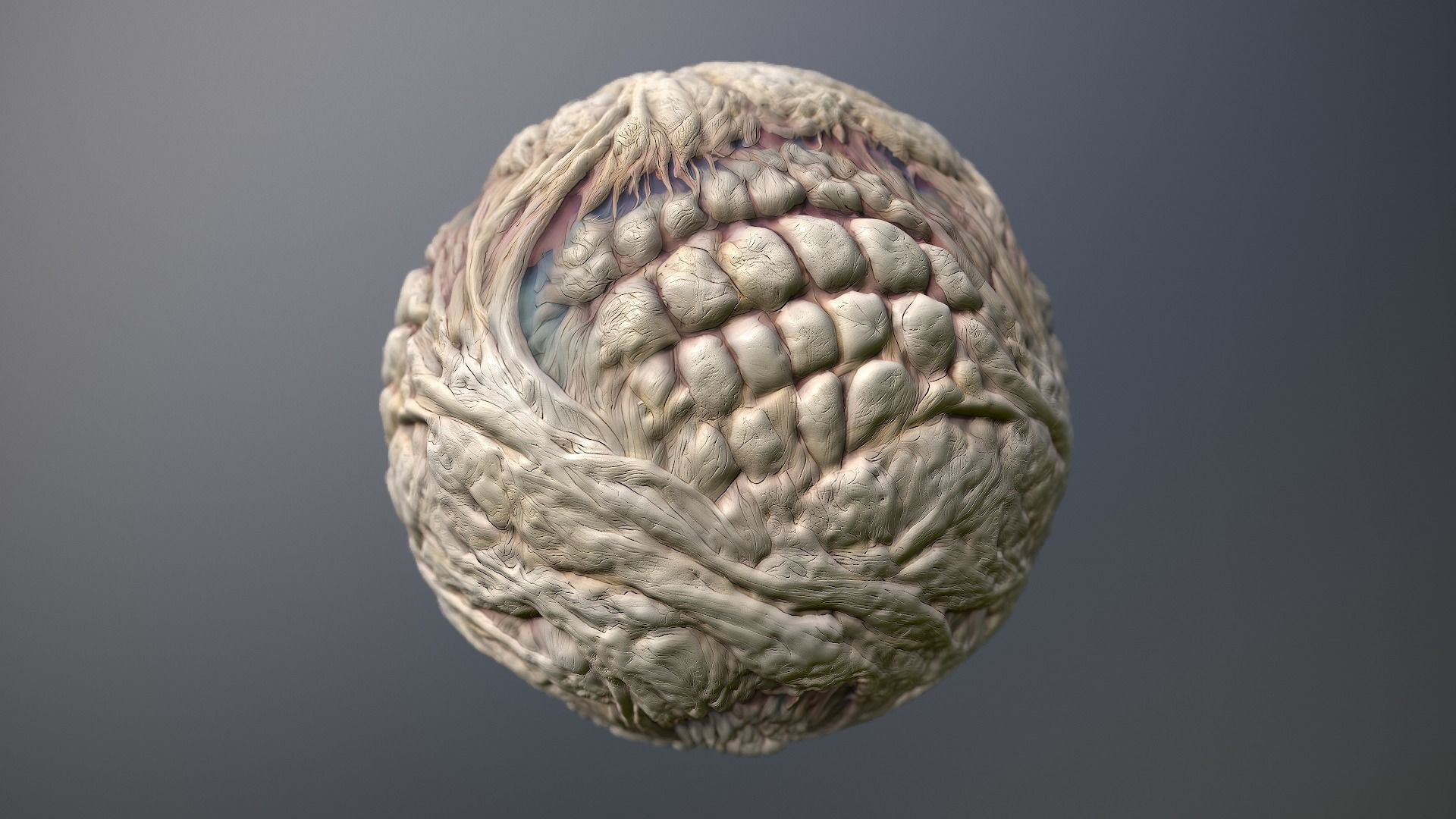Material Skin Monster 29 Seamless PBR Texture Texture | CGTrader