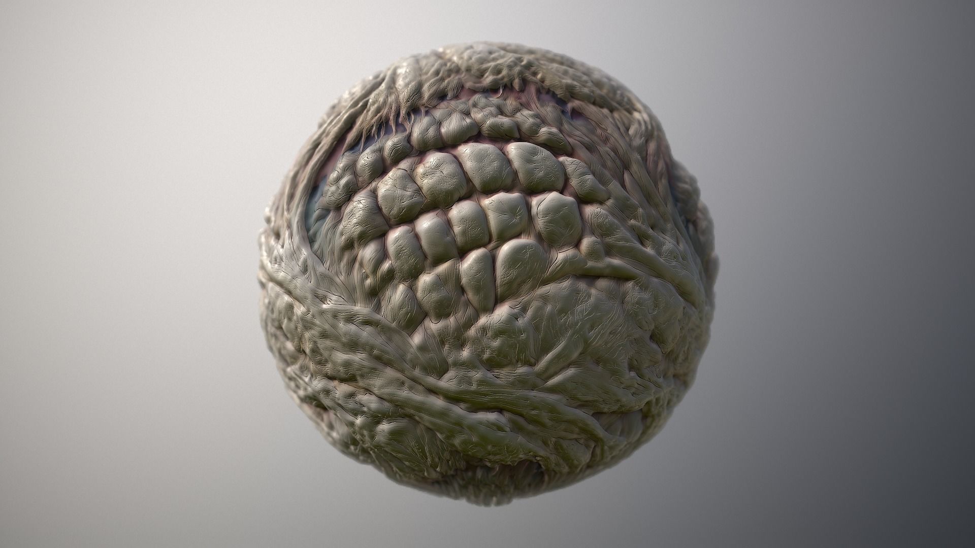 Material Skin Monster 29 Seamless PBR Texture Texture | CGTrader