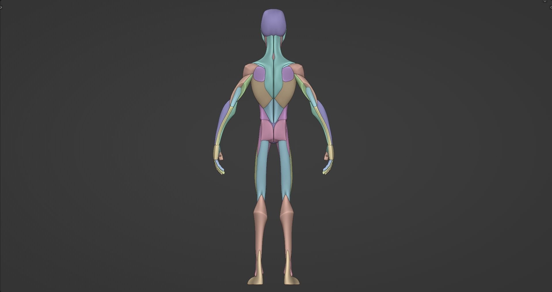 Stylized Thin Man Anatomy Blockout 3D model | CGTrader