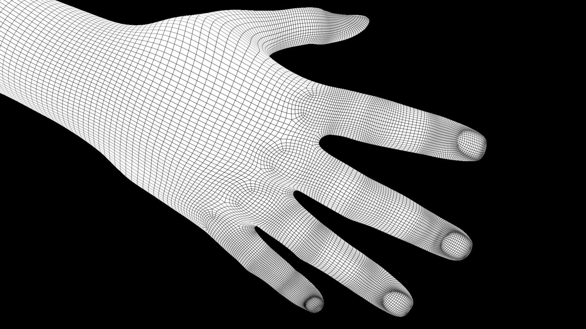 Hands Rigged 3D model rigged | CGTrader