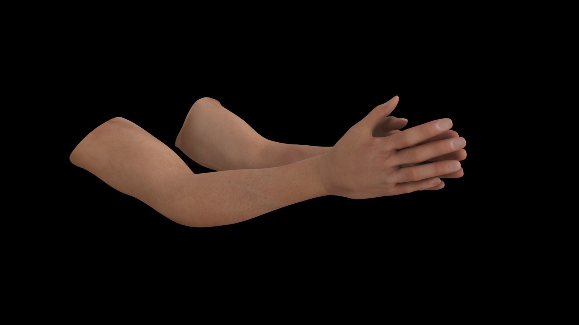 Hands Rigged 3D model rigged | CGTrader