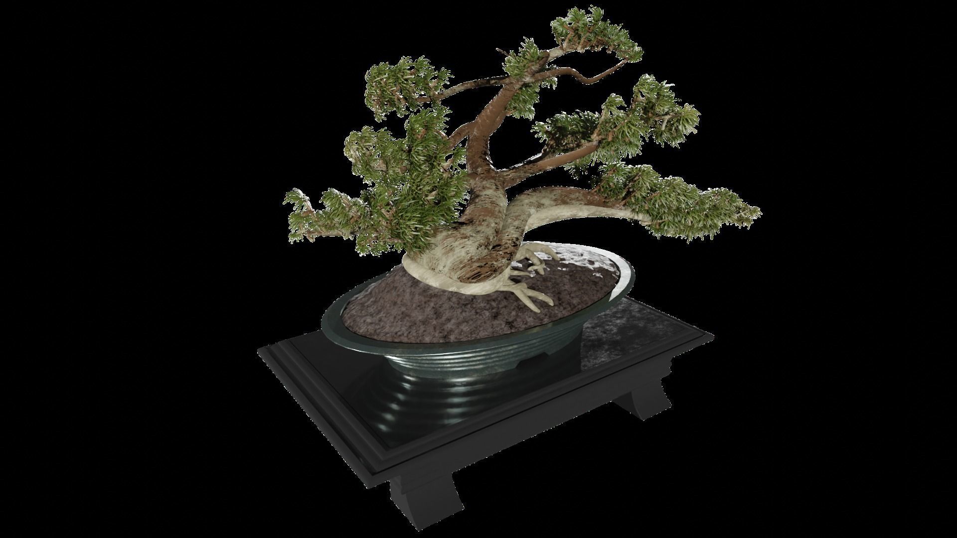 3D model Low-Poly Bonsai Tree VR / AR / low-poly | CGTrader