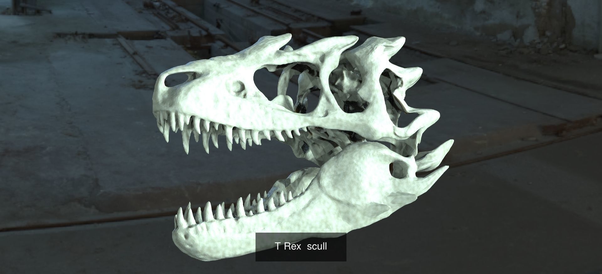 Fantasy T rex Collection | CGTrader