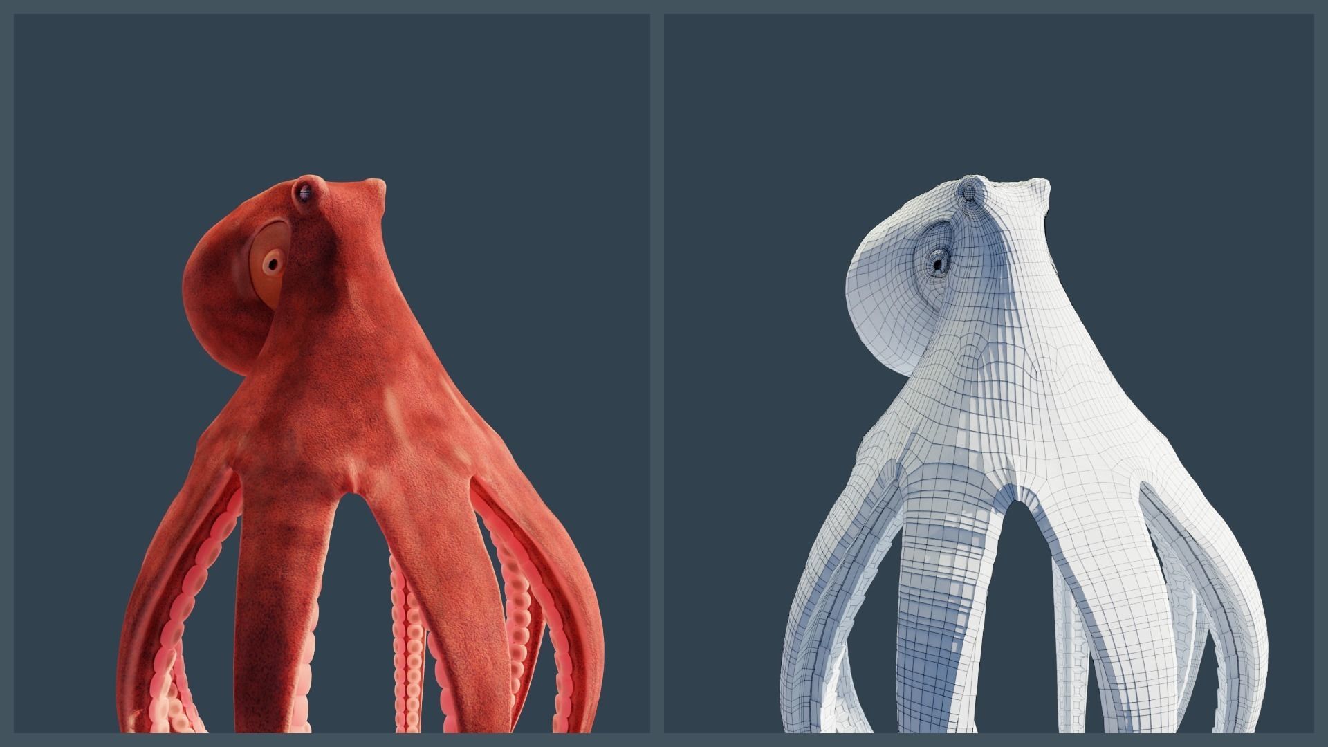 3D model Animated Giant Pacific Octopus VR / AR / low-poly | CGTrader
