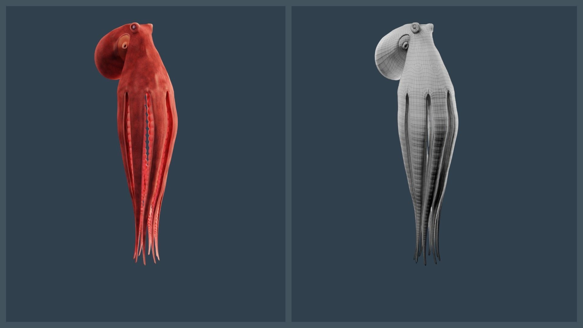 3D model Animated Giant Pacific Octopus VR / AR / low-poly | CGTrader