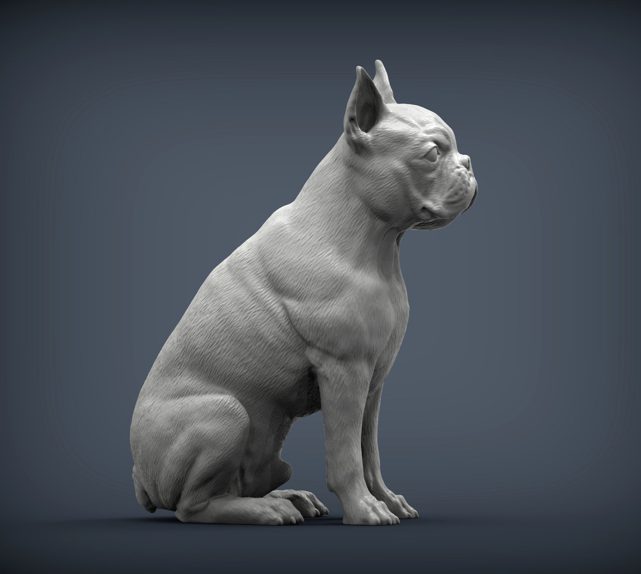 boston terrier 3D model 3D printable | CGTrader