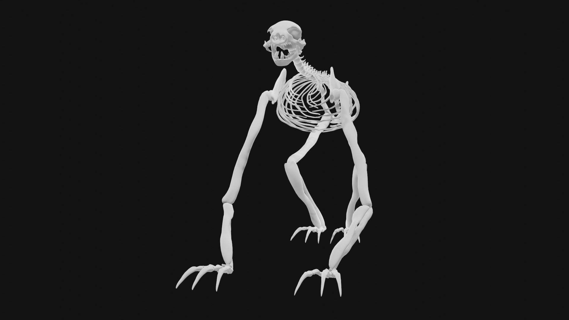 Sloth skeleton 3D model | CGTrader
