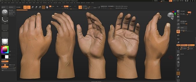 zbrush 2022 hand modeling 3D model | CGTrader