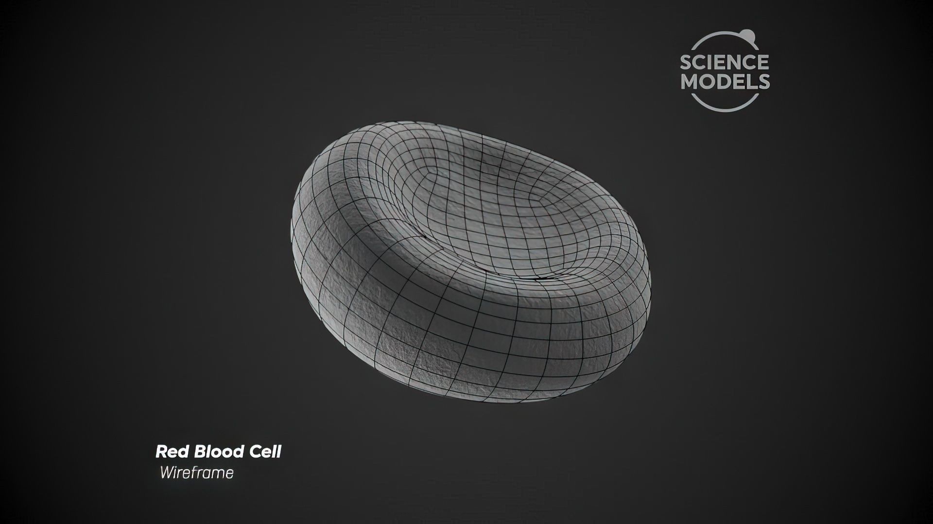 Red Blood Cell free 3D model | CGTrader