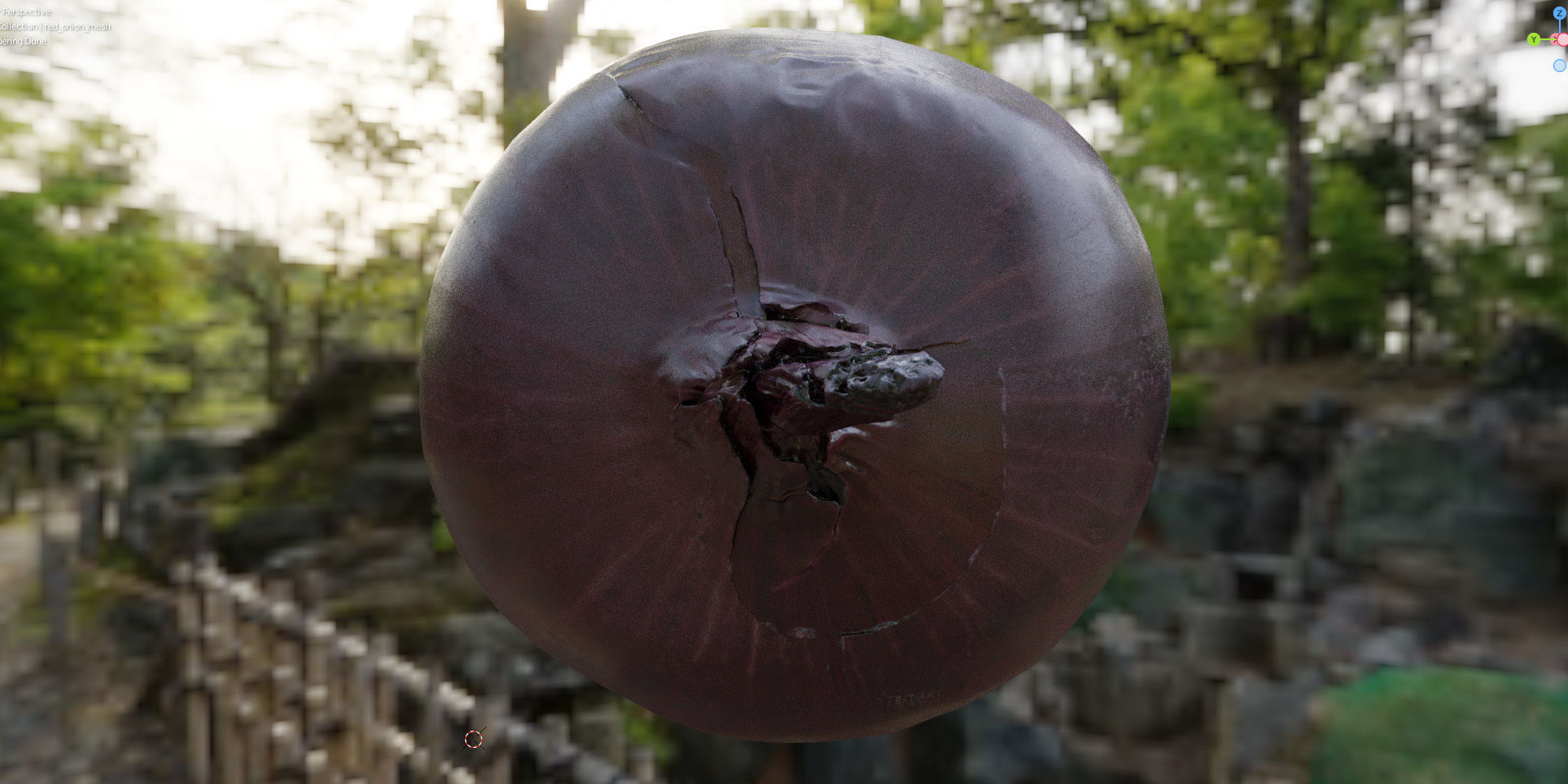 4K Red onion 3D model | CGTrader