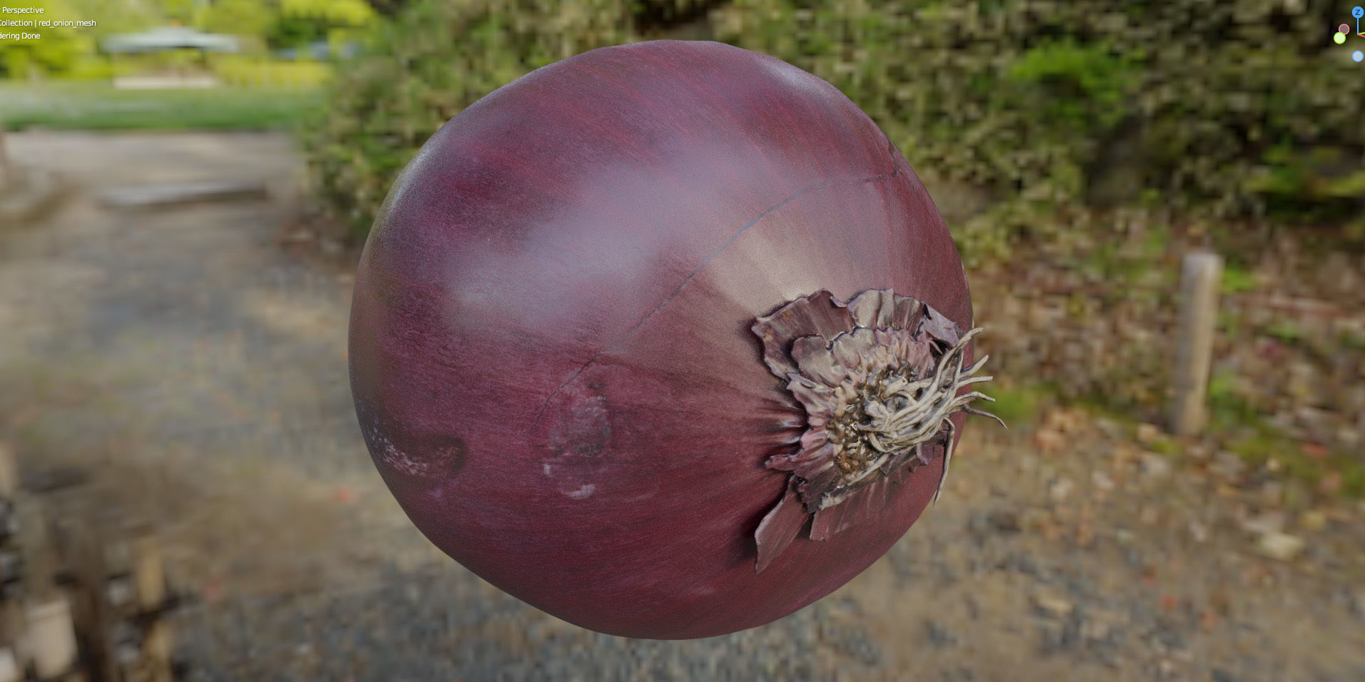4K Red onion 3D model | CGTrader