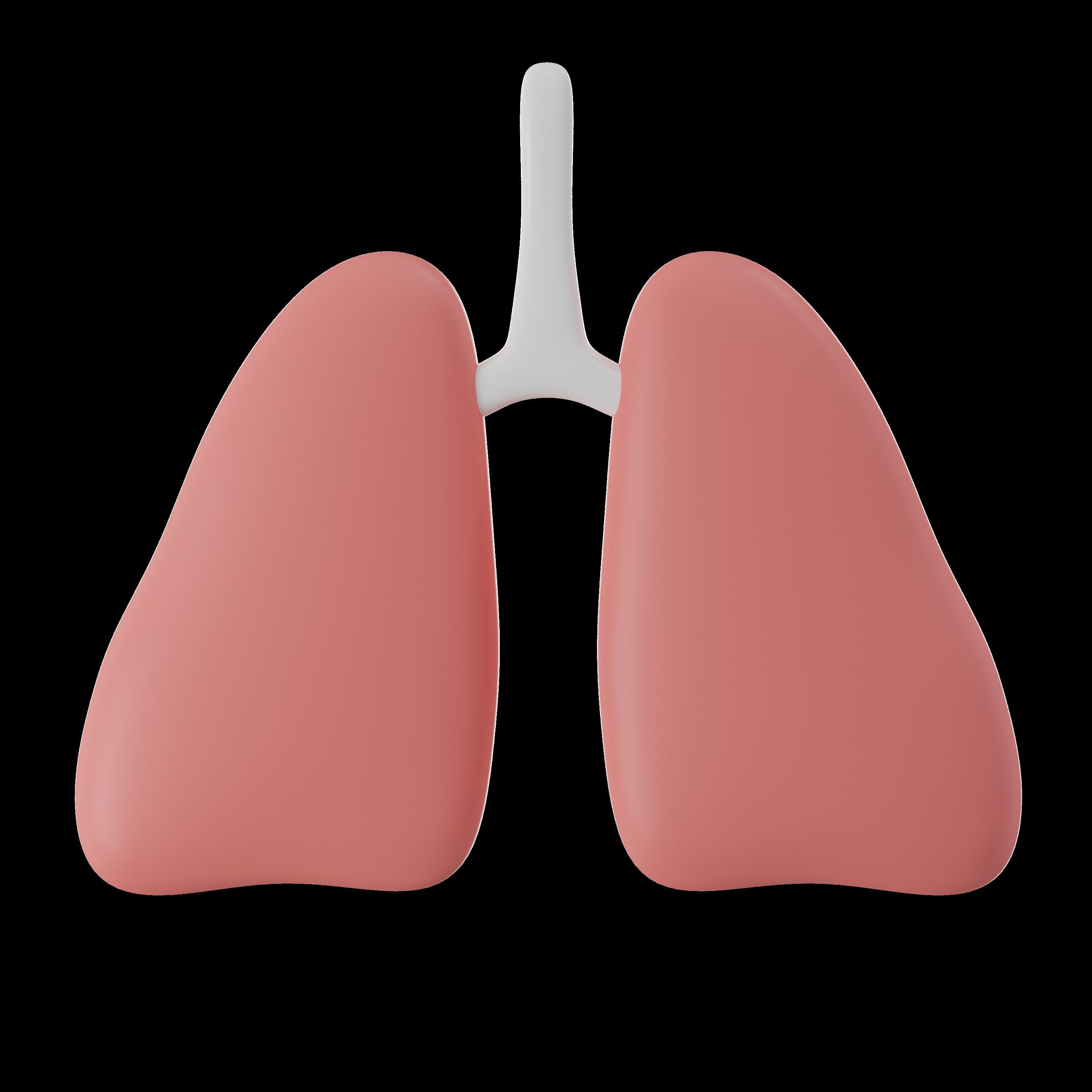 3D icon Medical pack 3D model | CGTrader