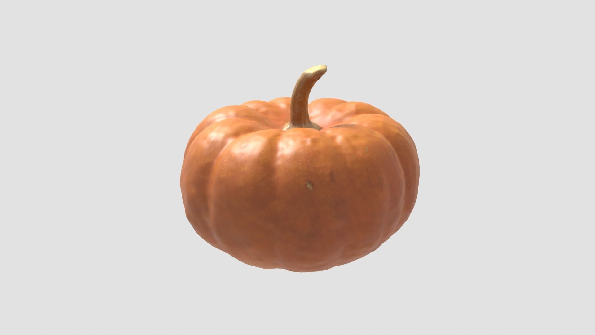 Decorative Gourd Pumpkin Squash Orange 3D Scan 3D model | CGTrader