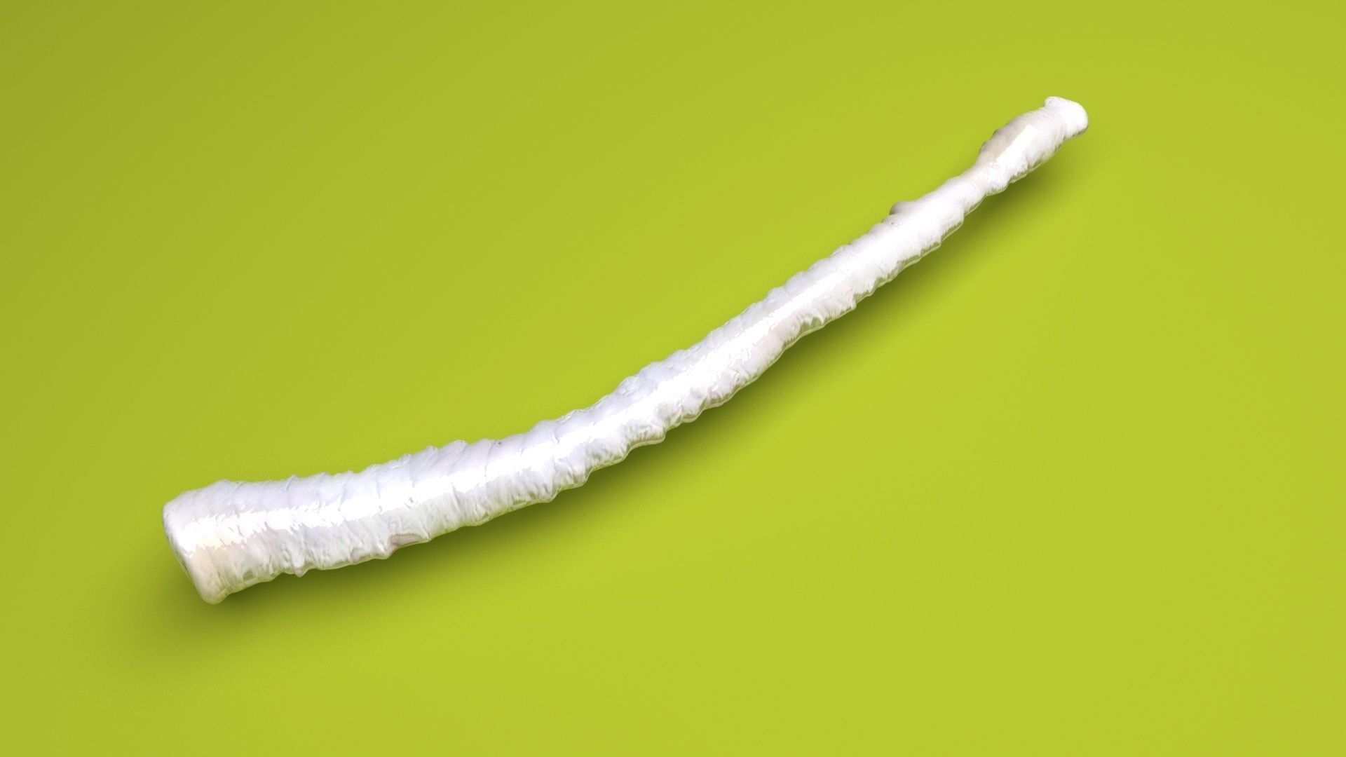 Tapeworm 3D model | CGTrader