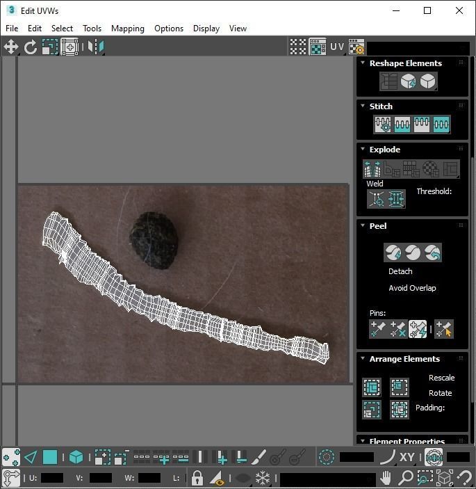 Tapeworm 3D model | CGTrader