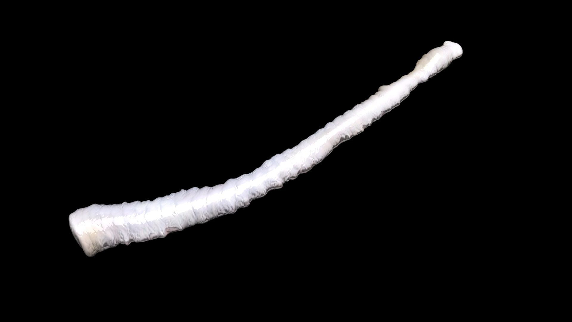 Tapeworm 3D model | CGTrader