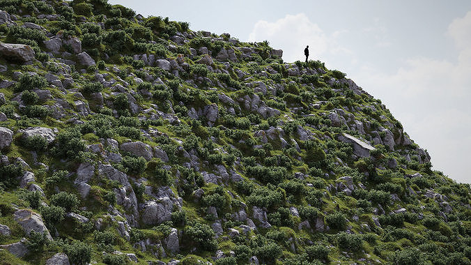 3D model Mountain Rock Slope 01 PBR Scan VR / AR / low-poly | CGTrader