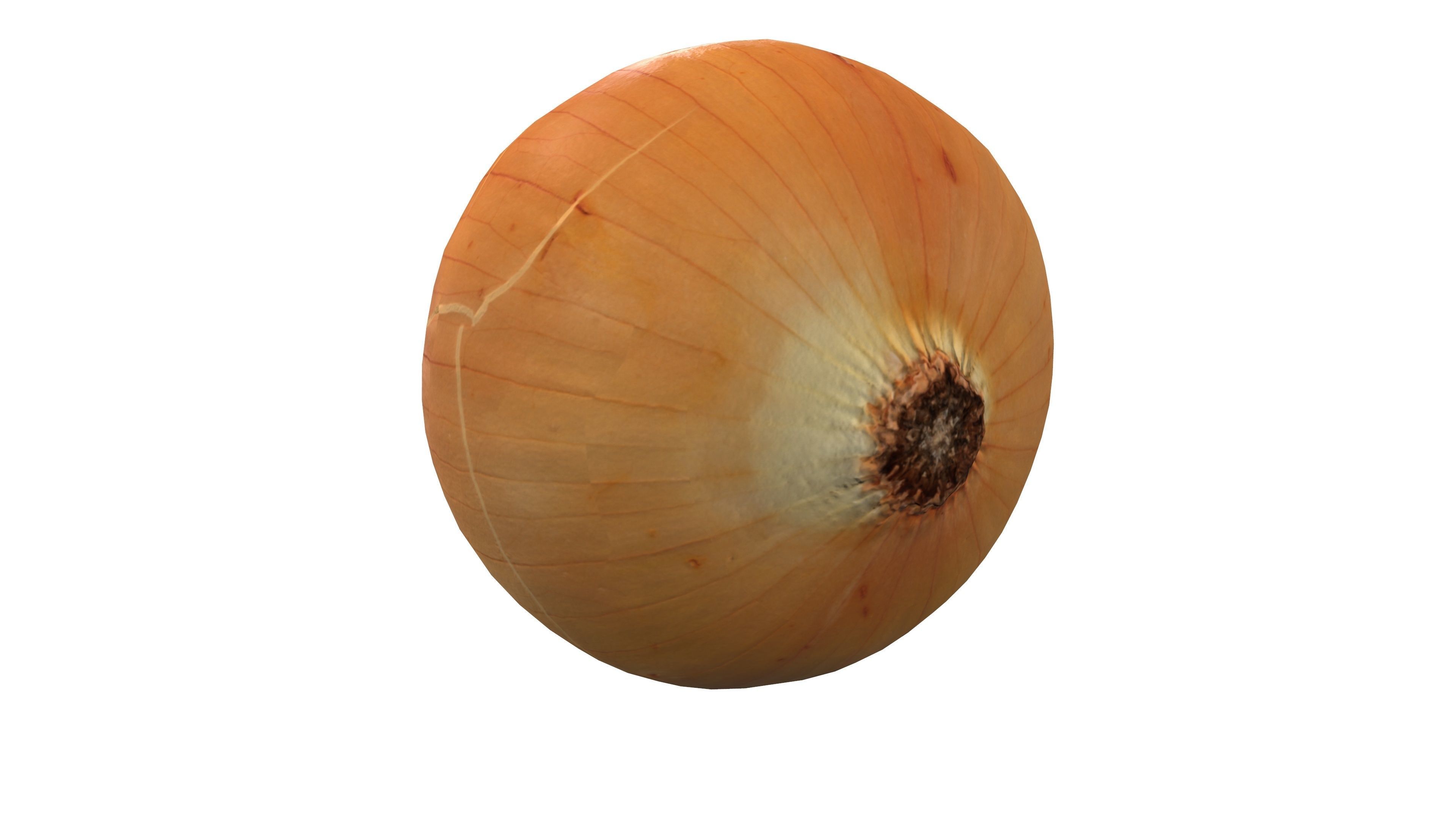 3D model Onion Vegetable 3D Model AR VR PBR VR / AR / low-poly | CGTrader