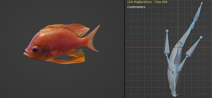 3D model Barbier fish VR / AR / low-poly | CGTrader