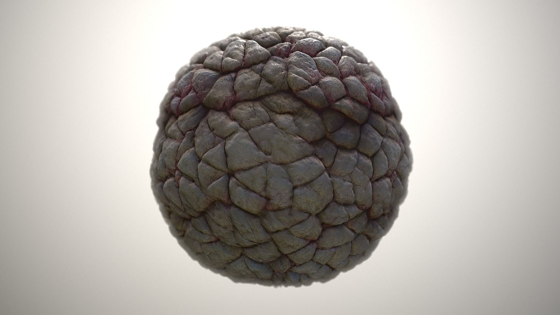 Material Skin Monster 37 Seamless PBR Texture Texture | CGTrader