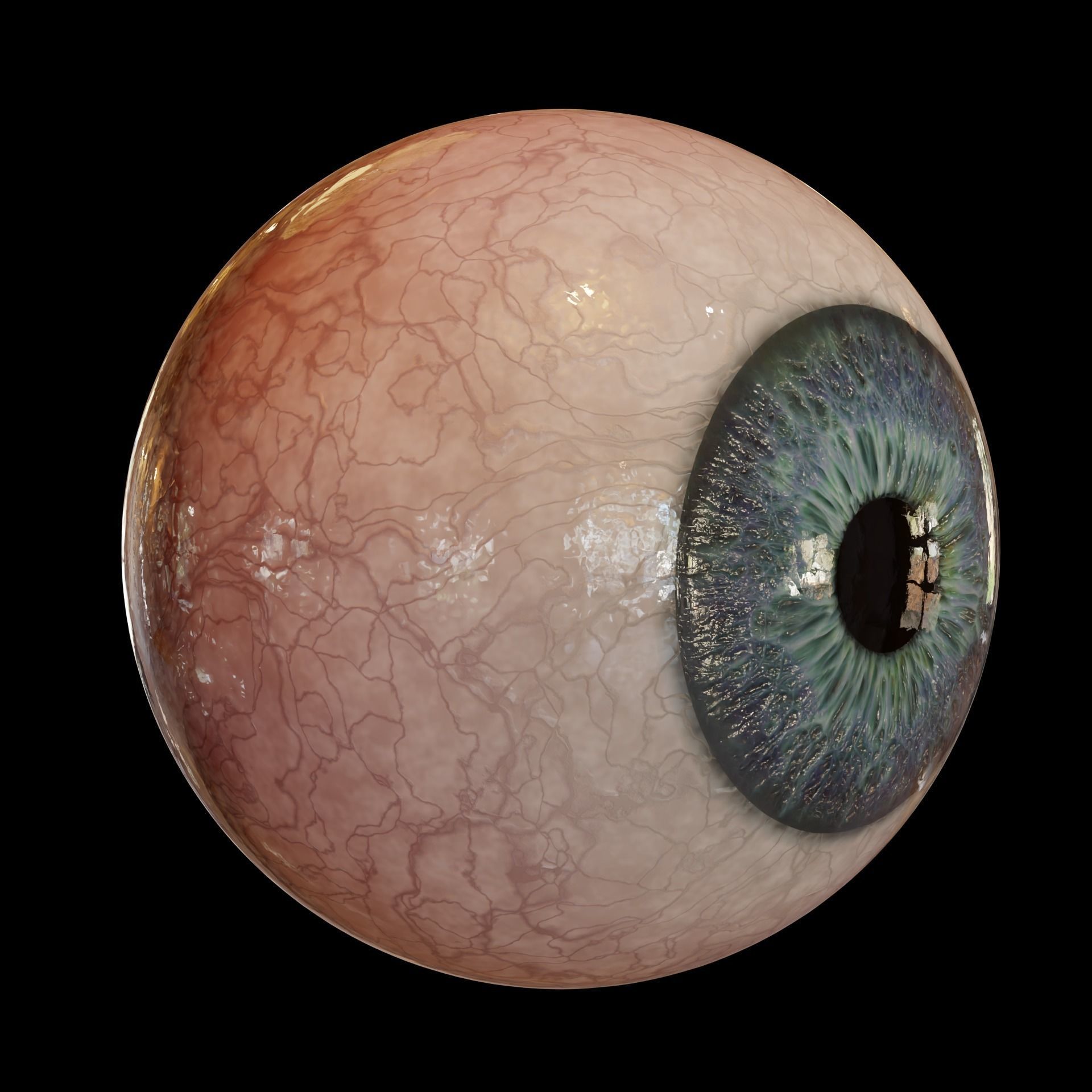 Hyper-Realistic Eye Rig - Blender 3D model rigged | CGTrader