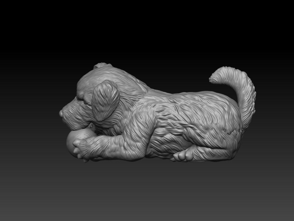 Labrador Puppy 3D model 3D printable | CGTrader