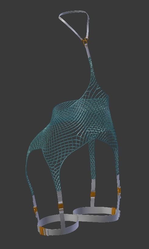 Fishnet and Garter 3D model rigged | CGTrader