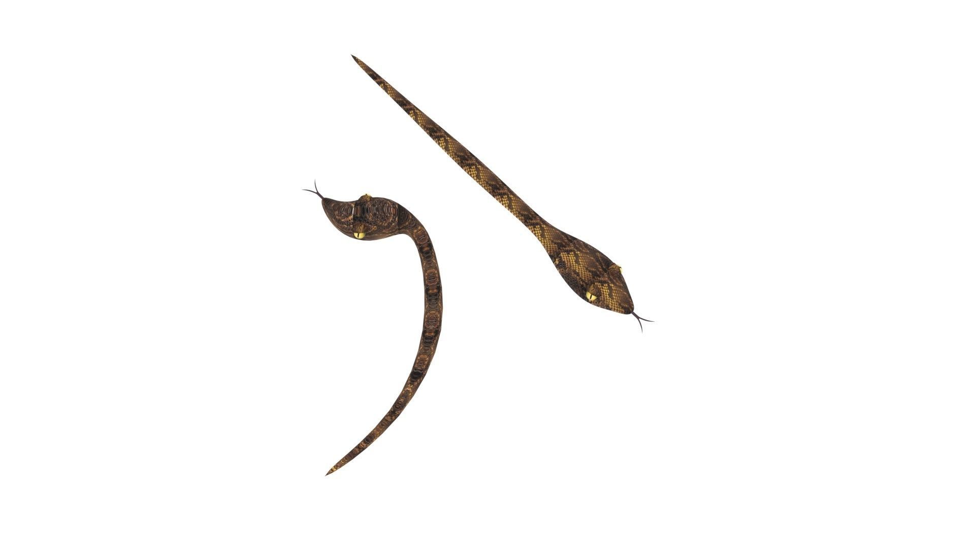 Snake With Straight Snake 3D model | CGTrader