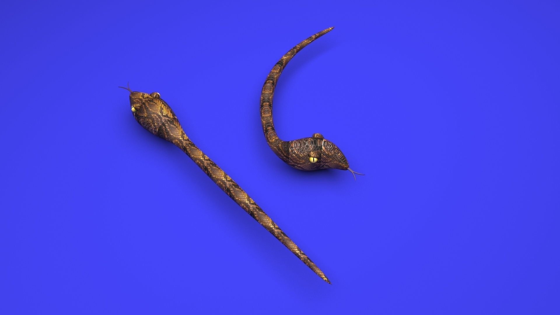 Snake With Straight Snake 3D model | CGTrader