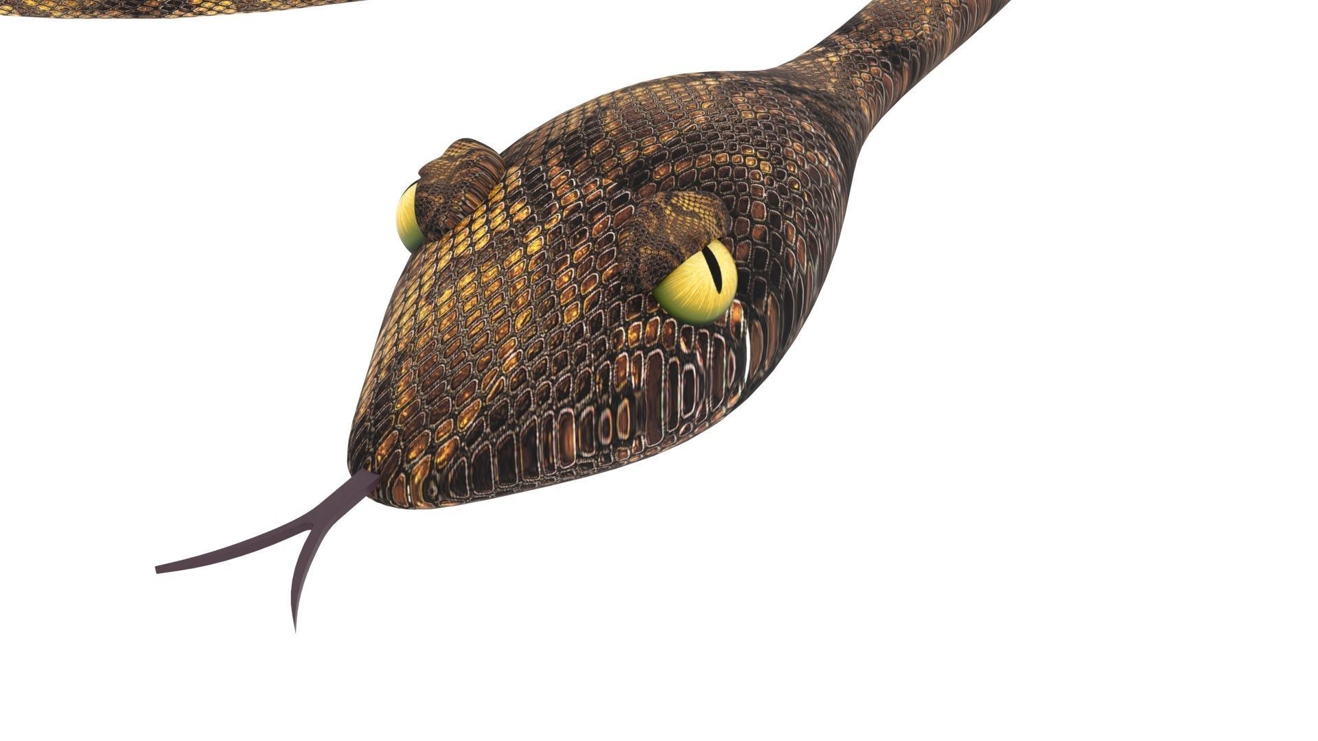 Snake With Straight Snake 3D model | CGTrader