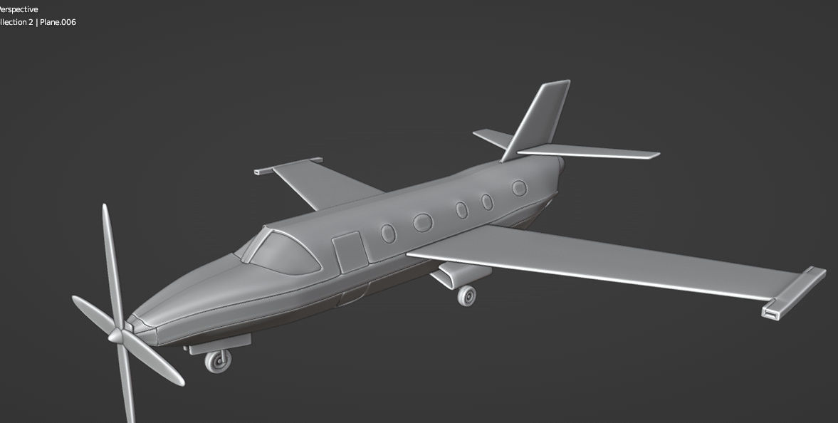 PRIVATE JET 3D model | CGTrader