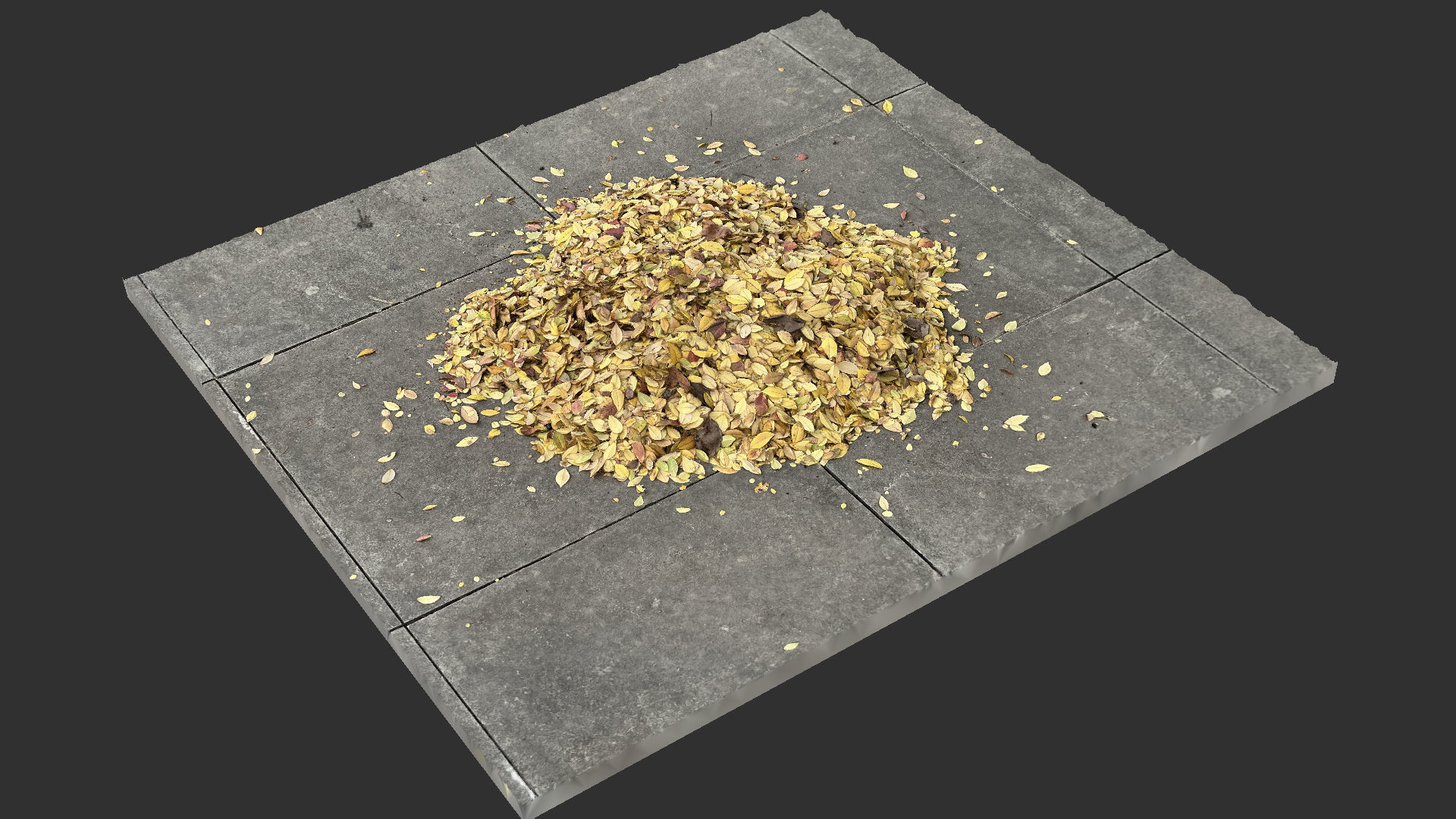 Leaves on the ground 3d scan 3D model | CGTrader