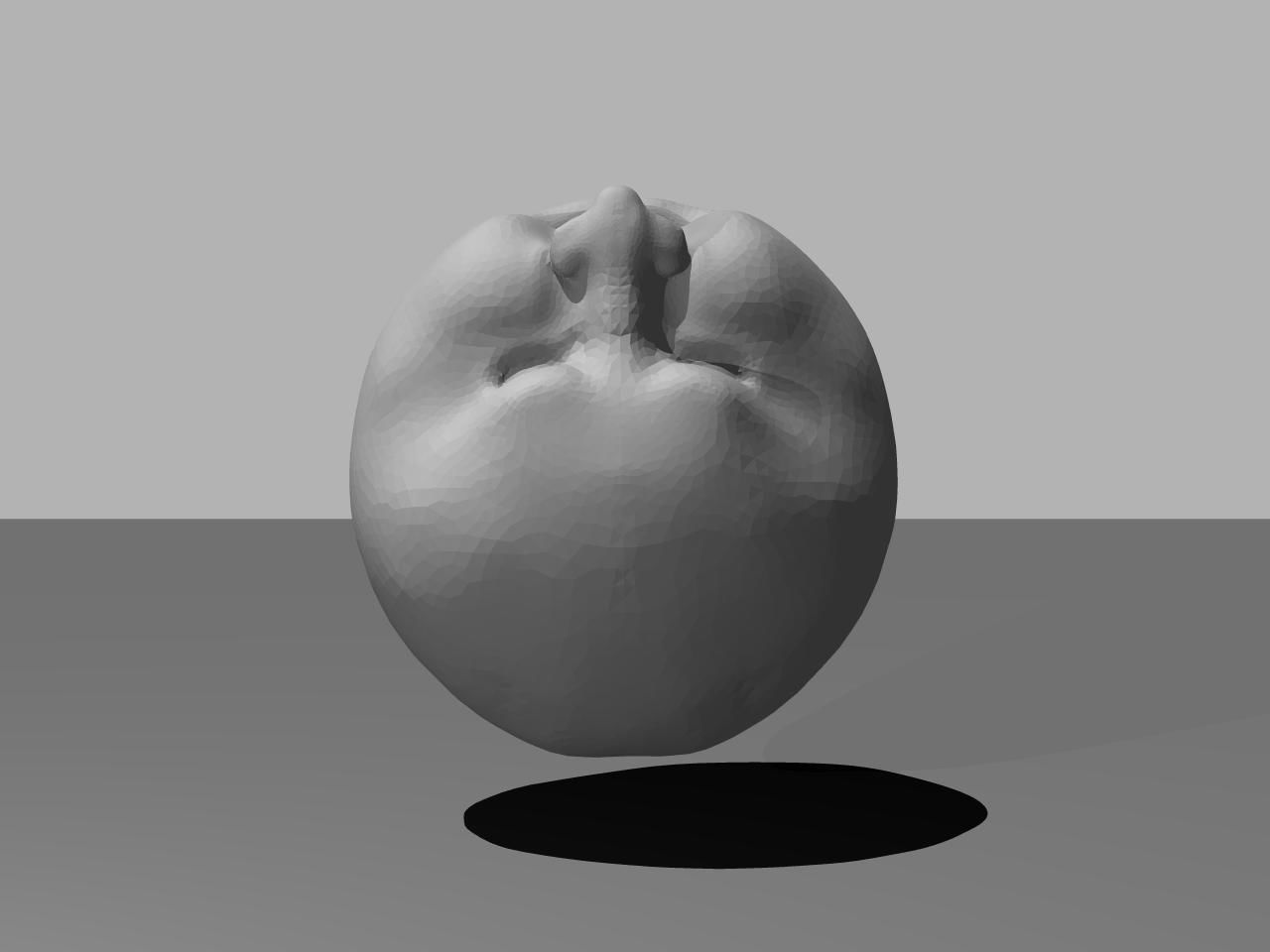 sample human head2 free 3D model | CGTrader