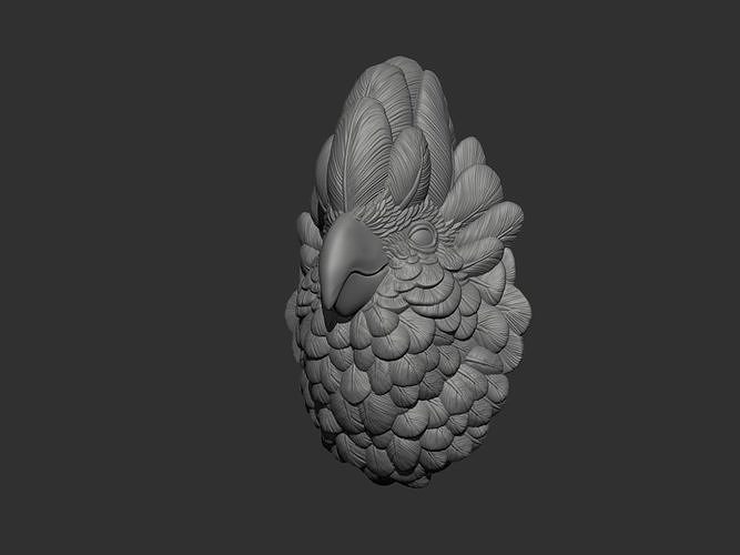 Parrot gold bird head 3D model 3D printable | CGTrader