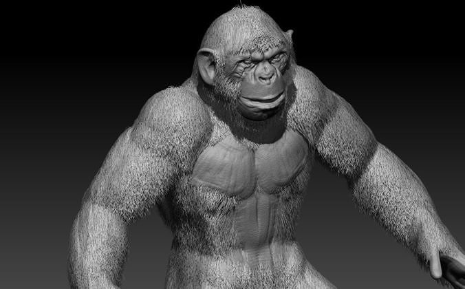 monkey free 3D model | CGTrader