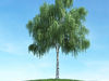 Archmodels vol 106 - Realistic Tress Collection 3D model | CGTrader