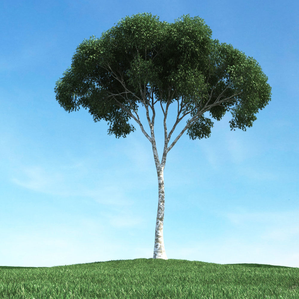Archmodels vol 106 - Realistic Tress Collection 3D model | CGTrader
