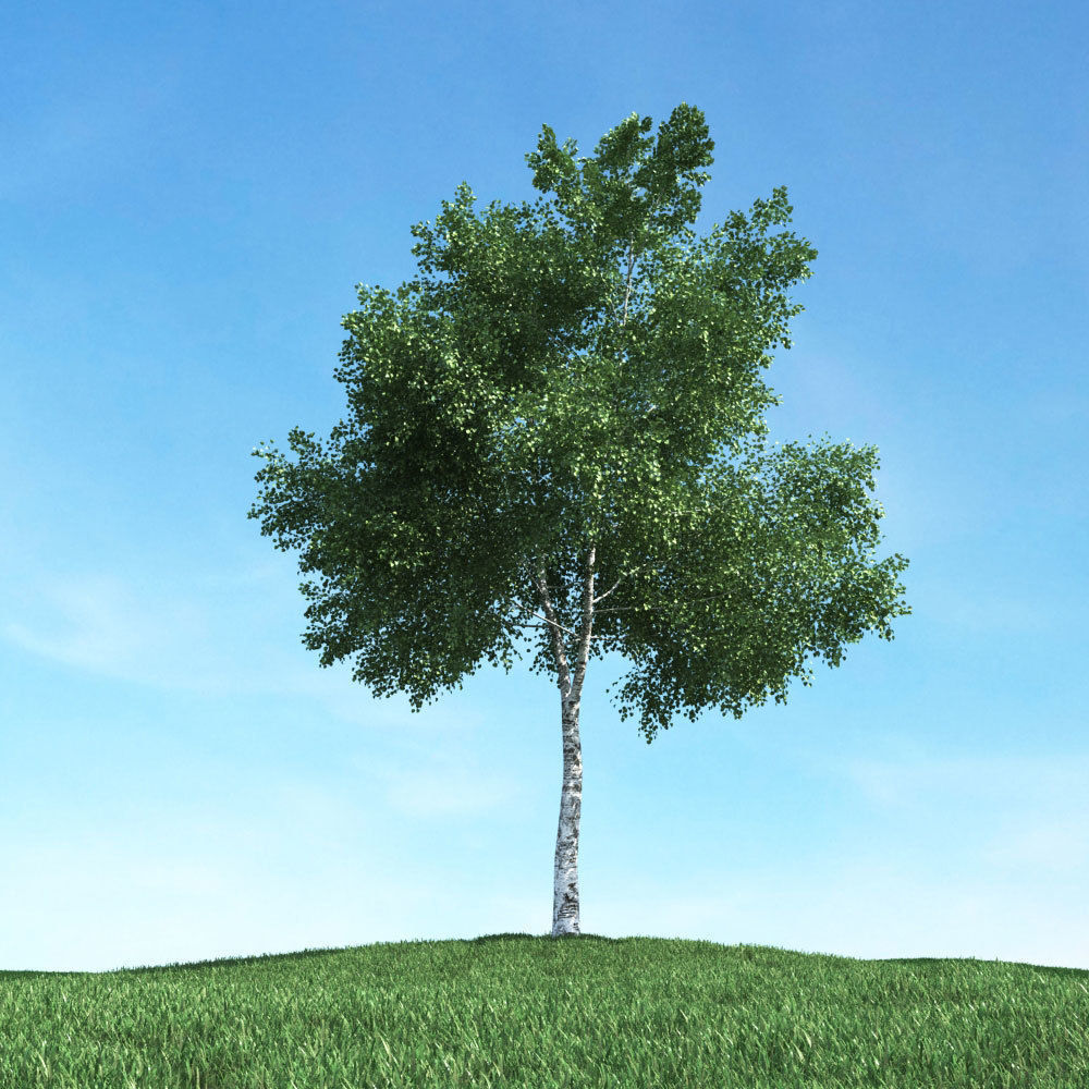 Archmodels vol 106 - Realistic Tress Collection 3D model | CGTrader