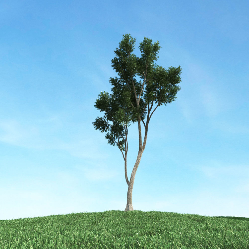 Archmodels vol 106 - Realistic Tress Collection 3D model | CGTrader
