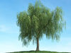 Archmodels vol 106 - Realistic Tress Collection 3D model | CGTrader