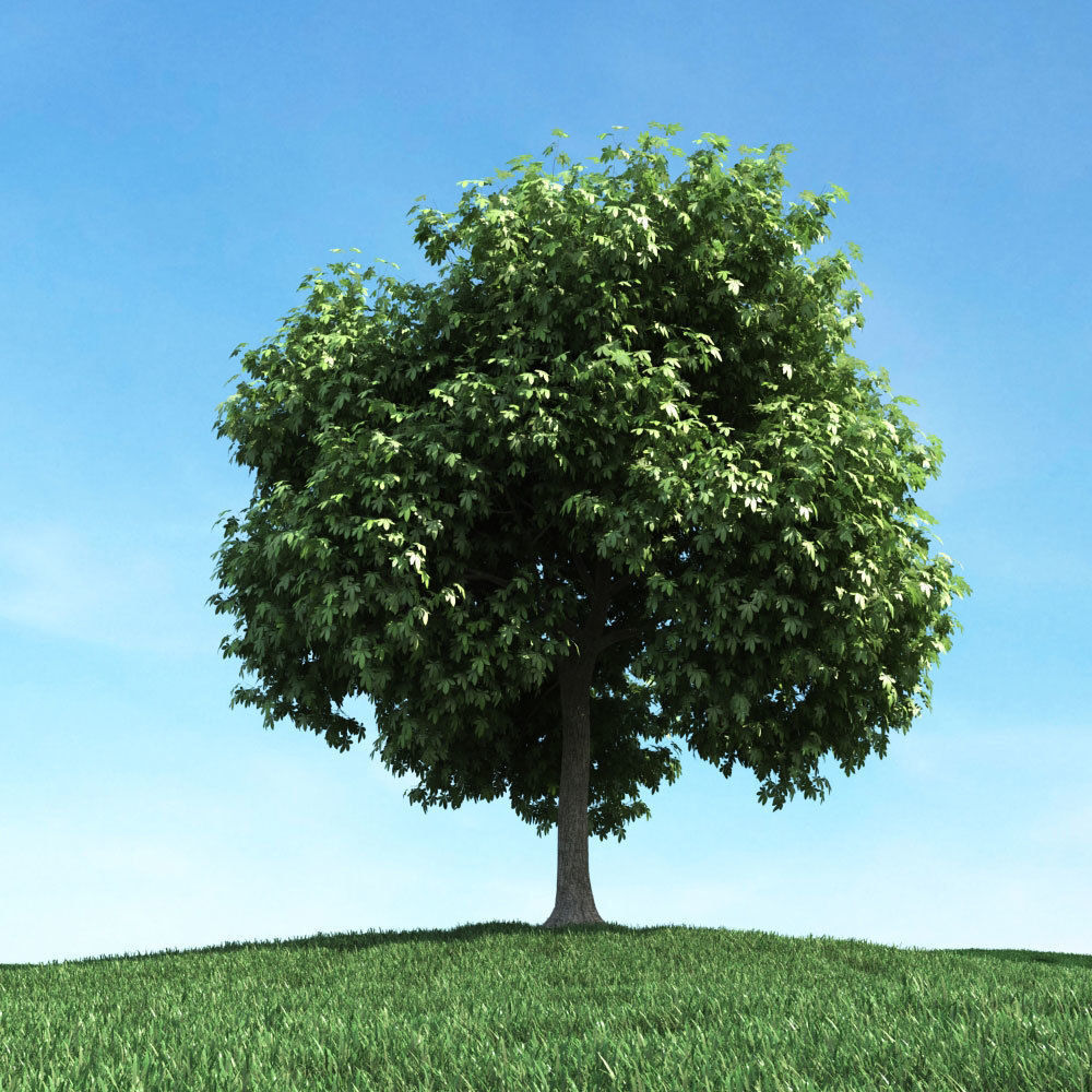 Archmodels vol 106 - Realistic Tress Collection 3D model | CGTrader